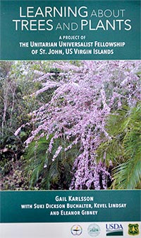 Learning about Trees and Plants (of St. John, USVI) - VItraders.com