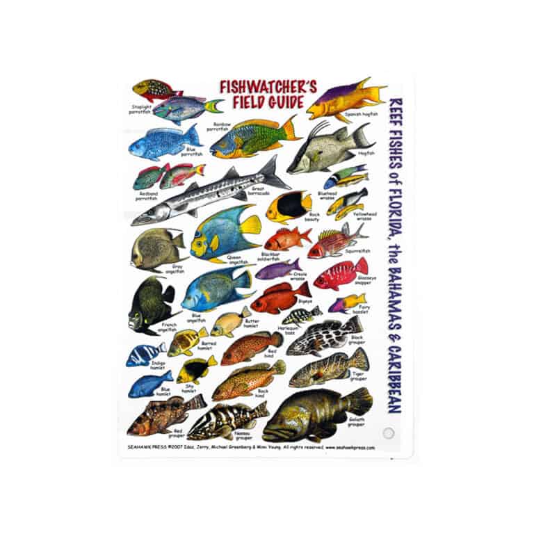 Caribbean/FL Fish ID Card (Fishwatchers)